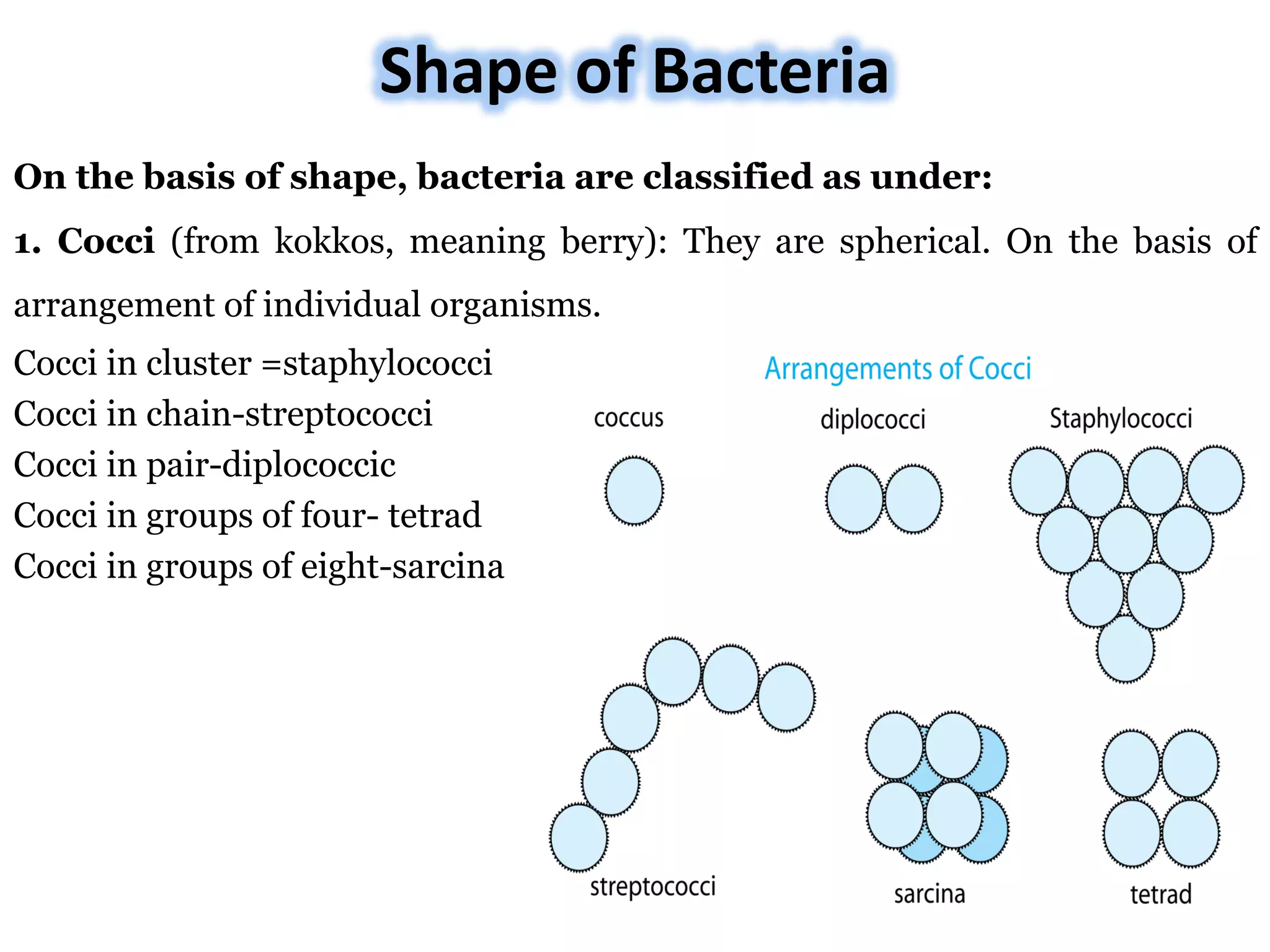1. Introduction Microbiology.pdf