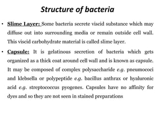 1. Introduction Microbiology.pdf