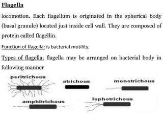 1. Introduction Microbiology.pdf