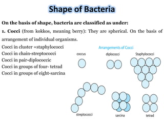 1. Introduction Microbiology.pdf