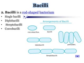 1. Introduction Microbiology.pdf