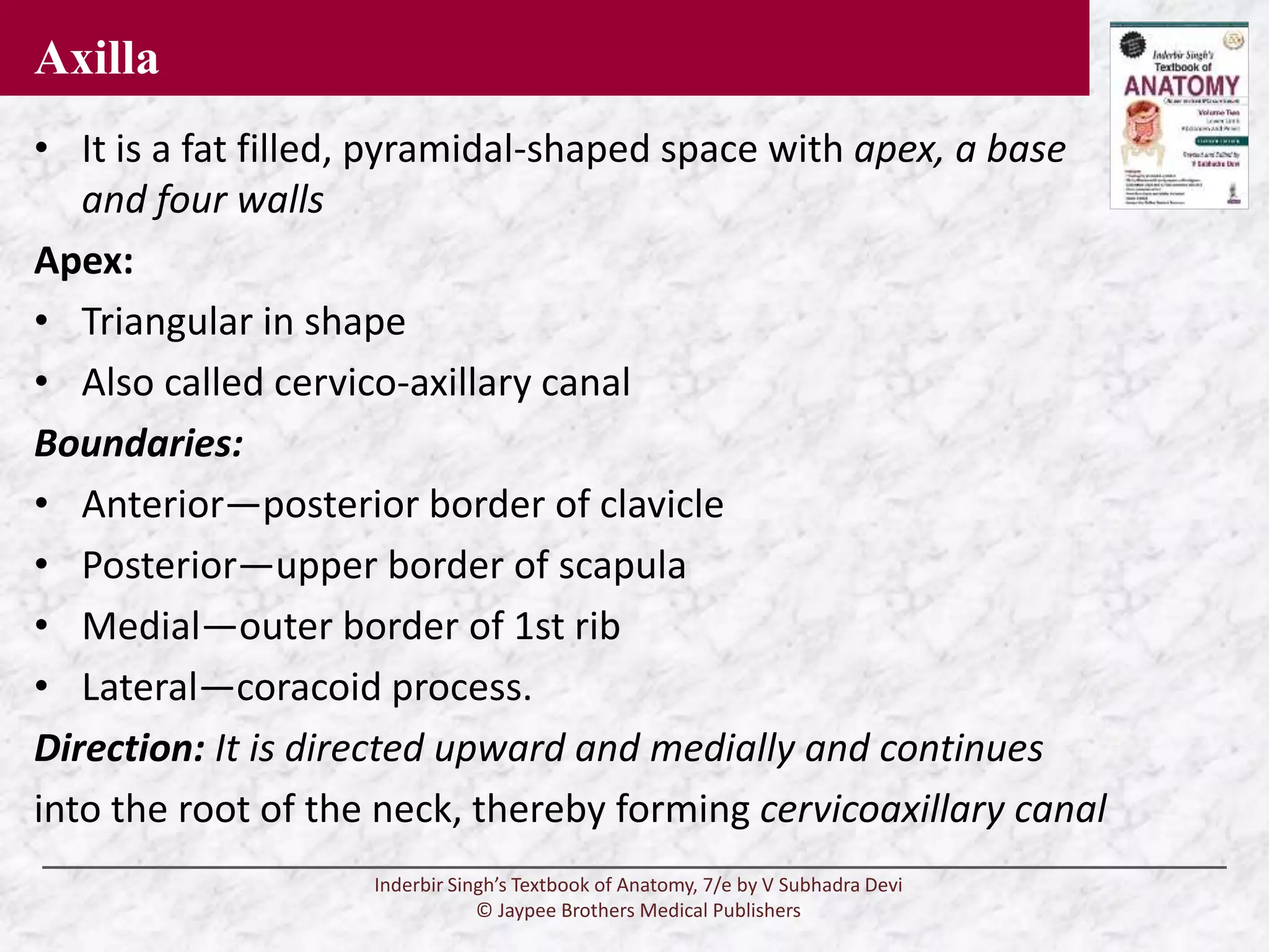 Anatomy of axilla.pptx