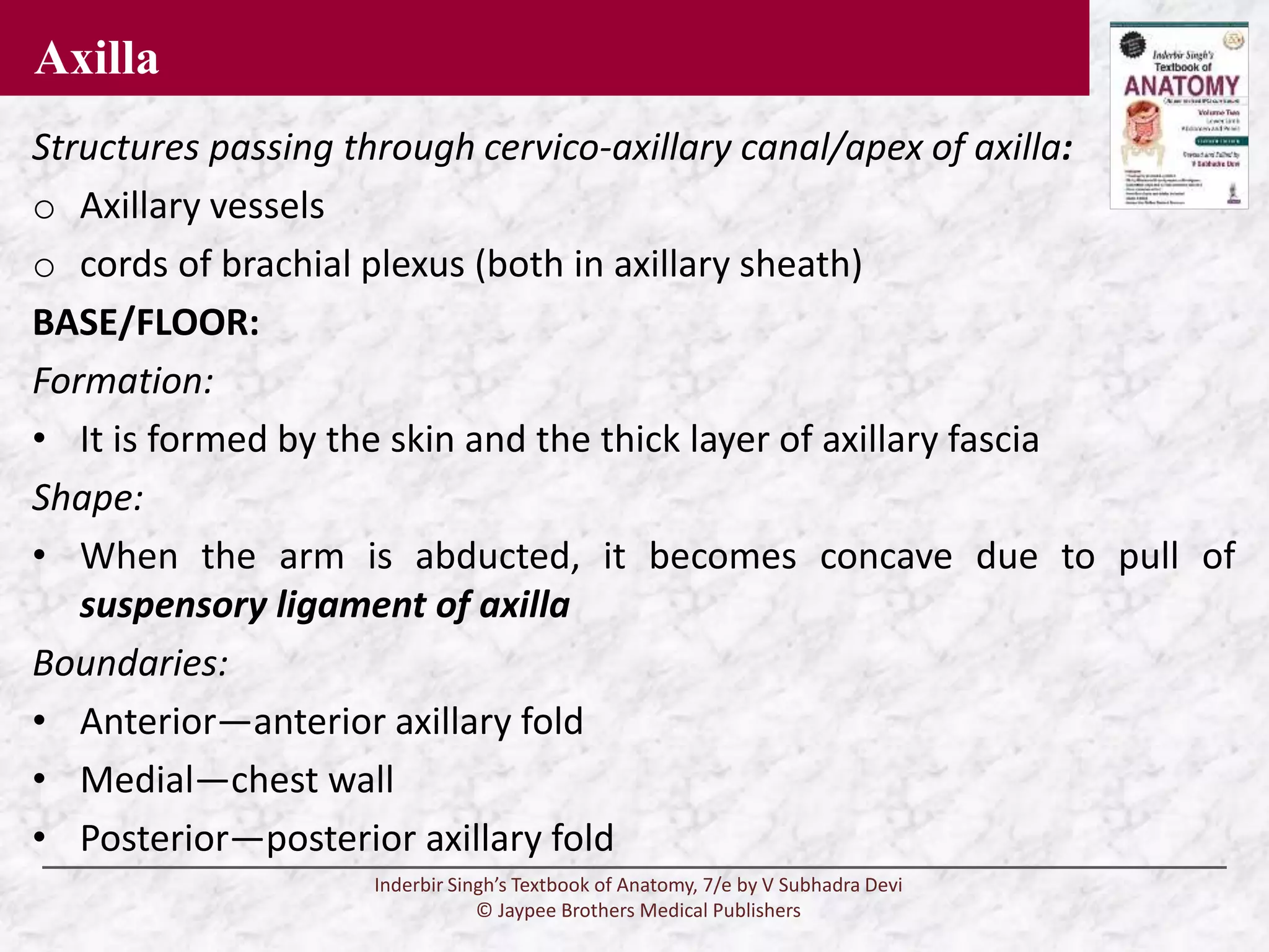 Anatomy of axilla.pptx