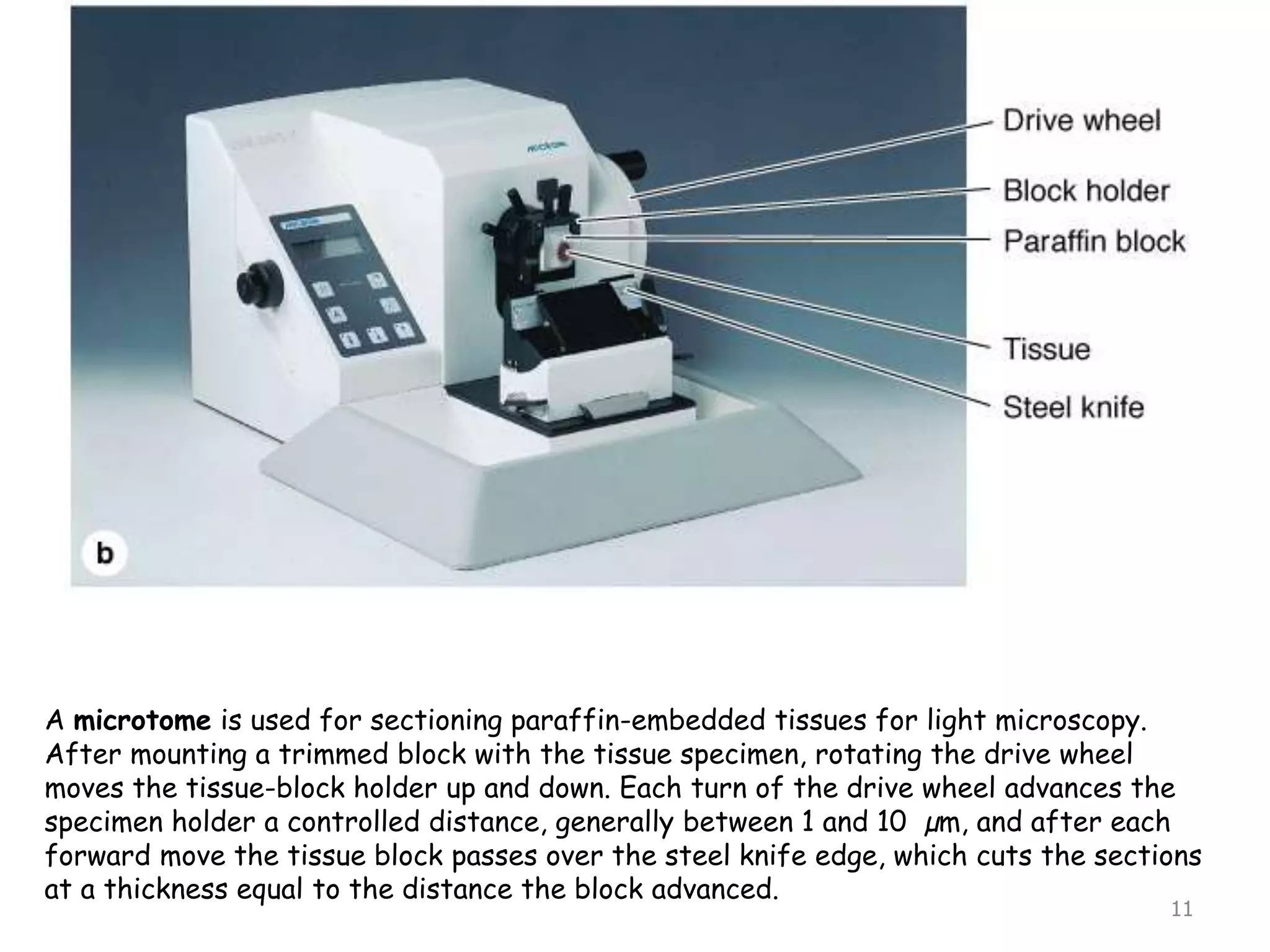 1. Introduction to Histology.ppt
