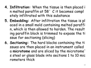 1. Introduction to Histology.ppt