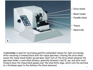 1. Introduction to Histology.ppt