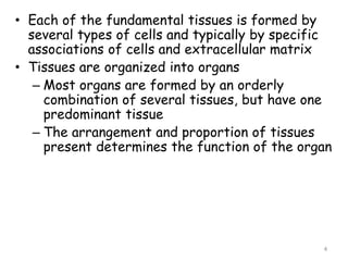 1. Introduction to Histology.ppt