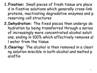 1. Introduction to Histology.ppt
