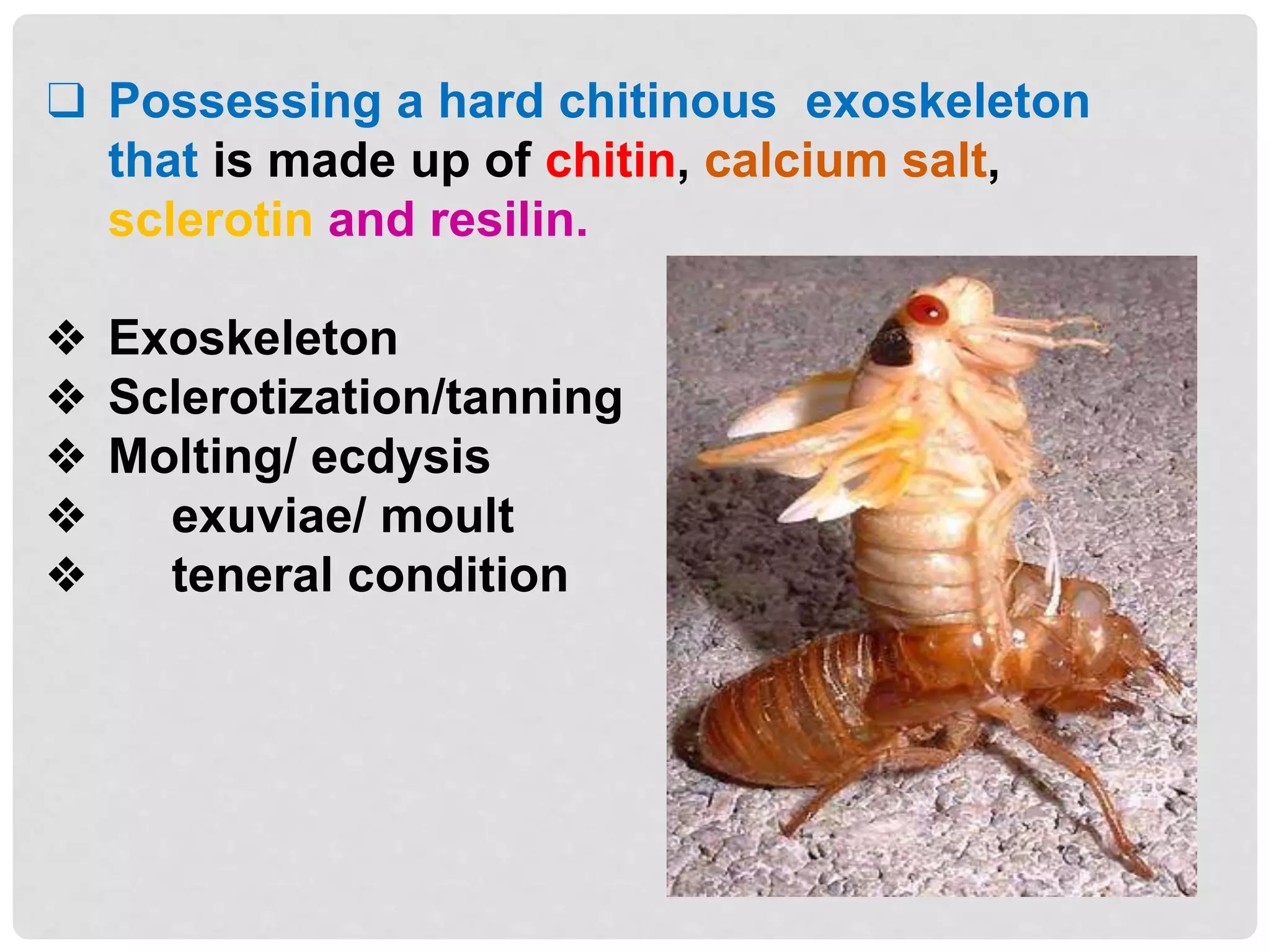1. Crop Prot IPM And Entom.pptx