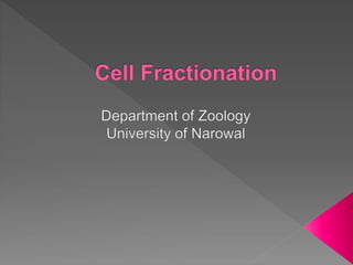 1. cell fractionation.pptx | Chemistry | Science