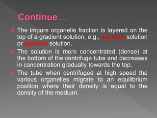 1. cell fractionation.pptx
