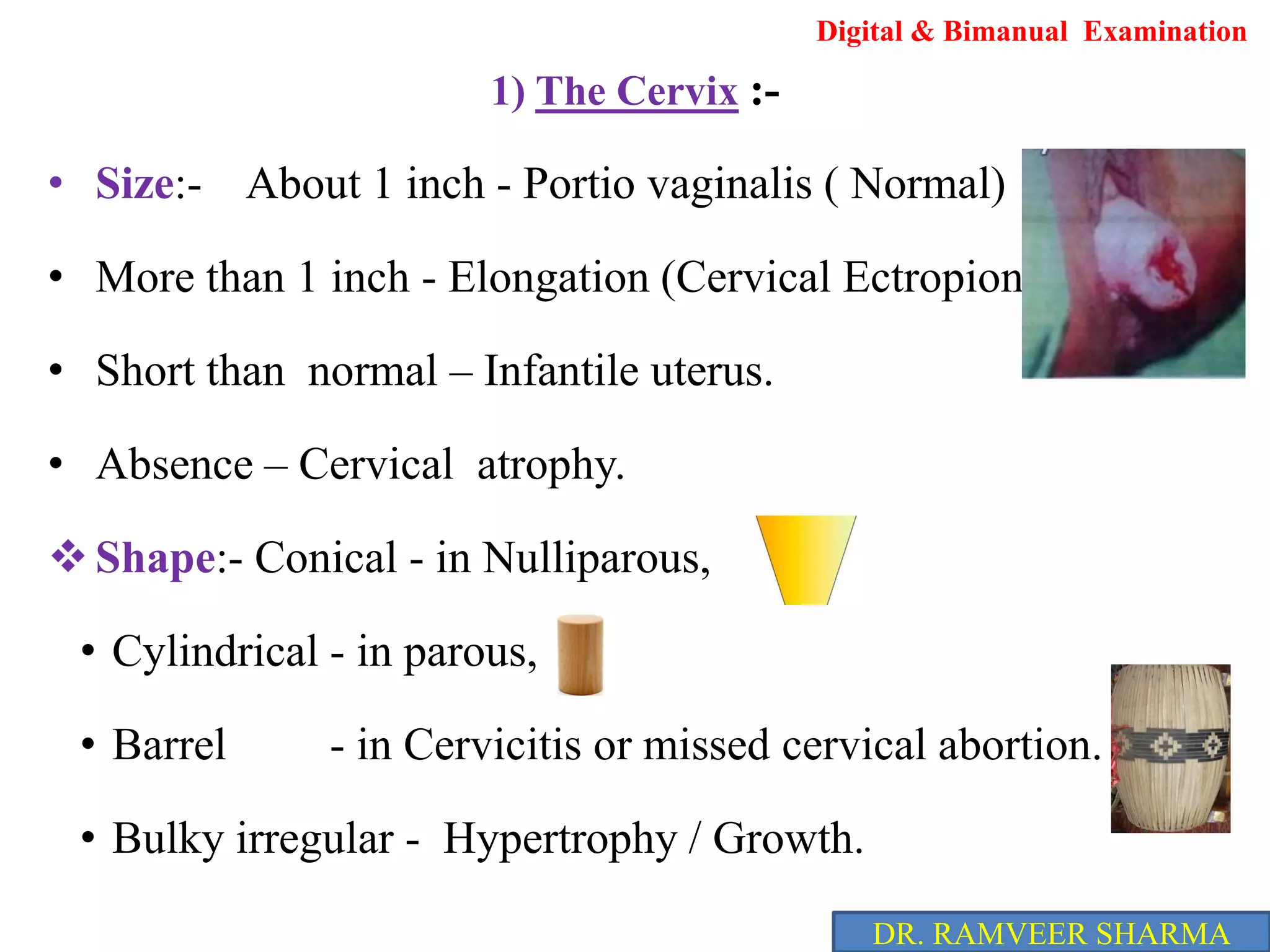 1.1 - Bimanual Examination in Gynae and Obstetrics.pdf
