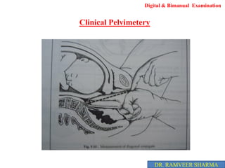 1.1 - Bimanual Examination in Gynae and Obstetrics.pdf
