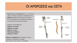 ΤΟ ΜΥΟΣΚΕΛΕΤΙΚΟ ΣΥΣΤΗΜΑ, Η ΧΡΗΣΙΜΟΤΗΤΑ ΤΗΣ ΠΡΟΘΕΡΜΑΝΣΗΣ ΓΙΑ ΔΙΑ ΒΙΟΥ ...