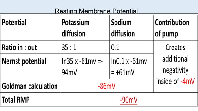 1. Resting Membrane Potential.pptx | Chemistry | Science
