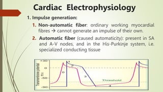 1. INTRODUCTION OF CVS.pptx