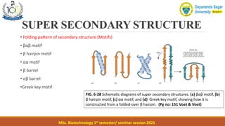 types of secondary structure and super secondary structure of protein ...
