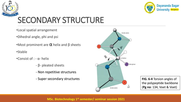 types of secondary structure and super secondary structure of protein ...