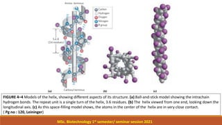 types of secondary structure and super secondary structure of protein ...
