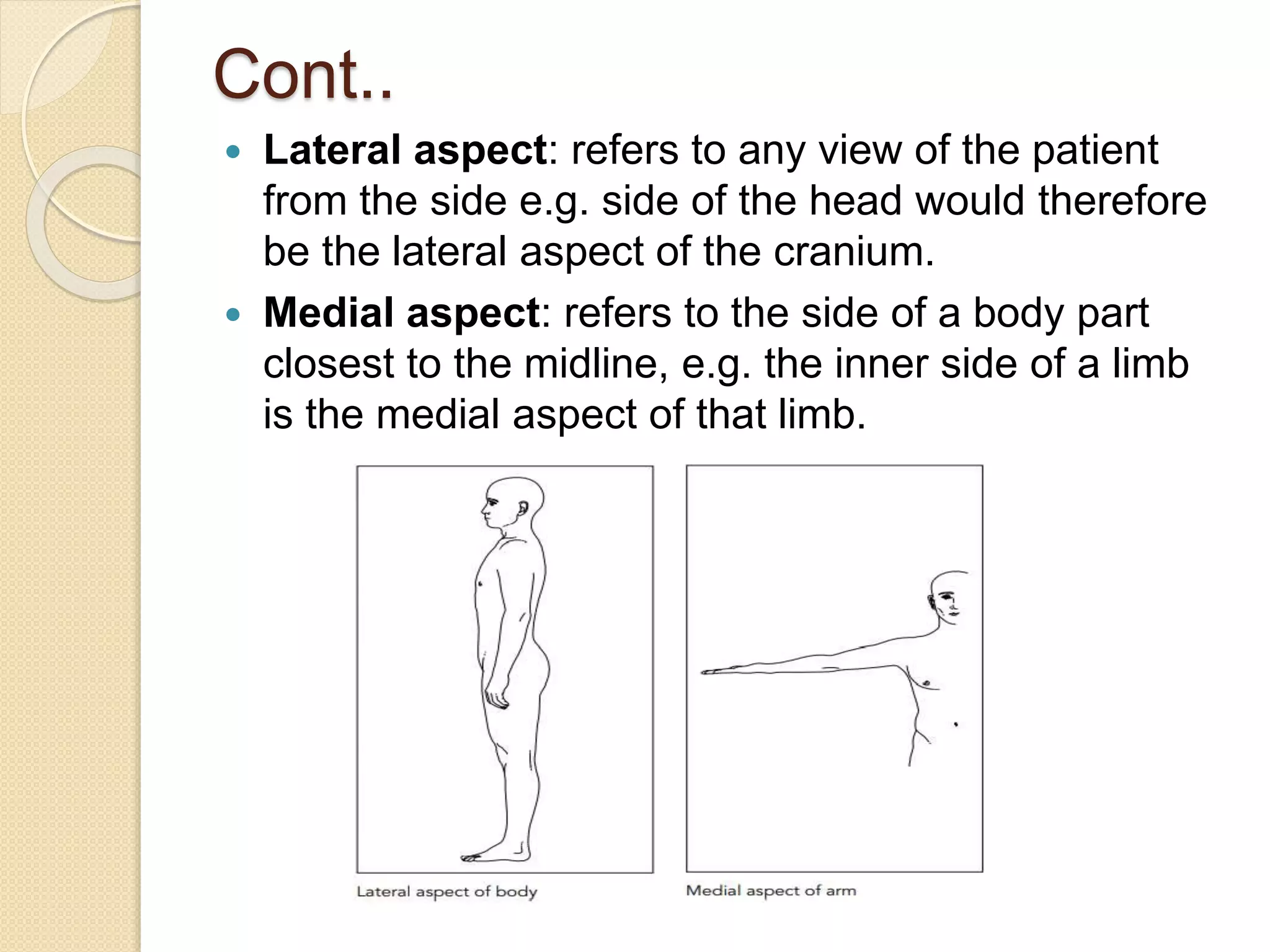 1. ANATOMICAL TERMINALOGY.pptx