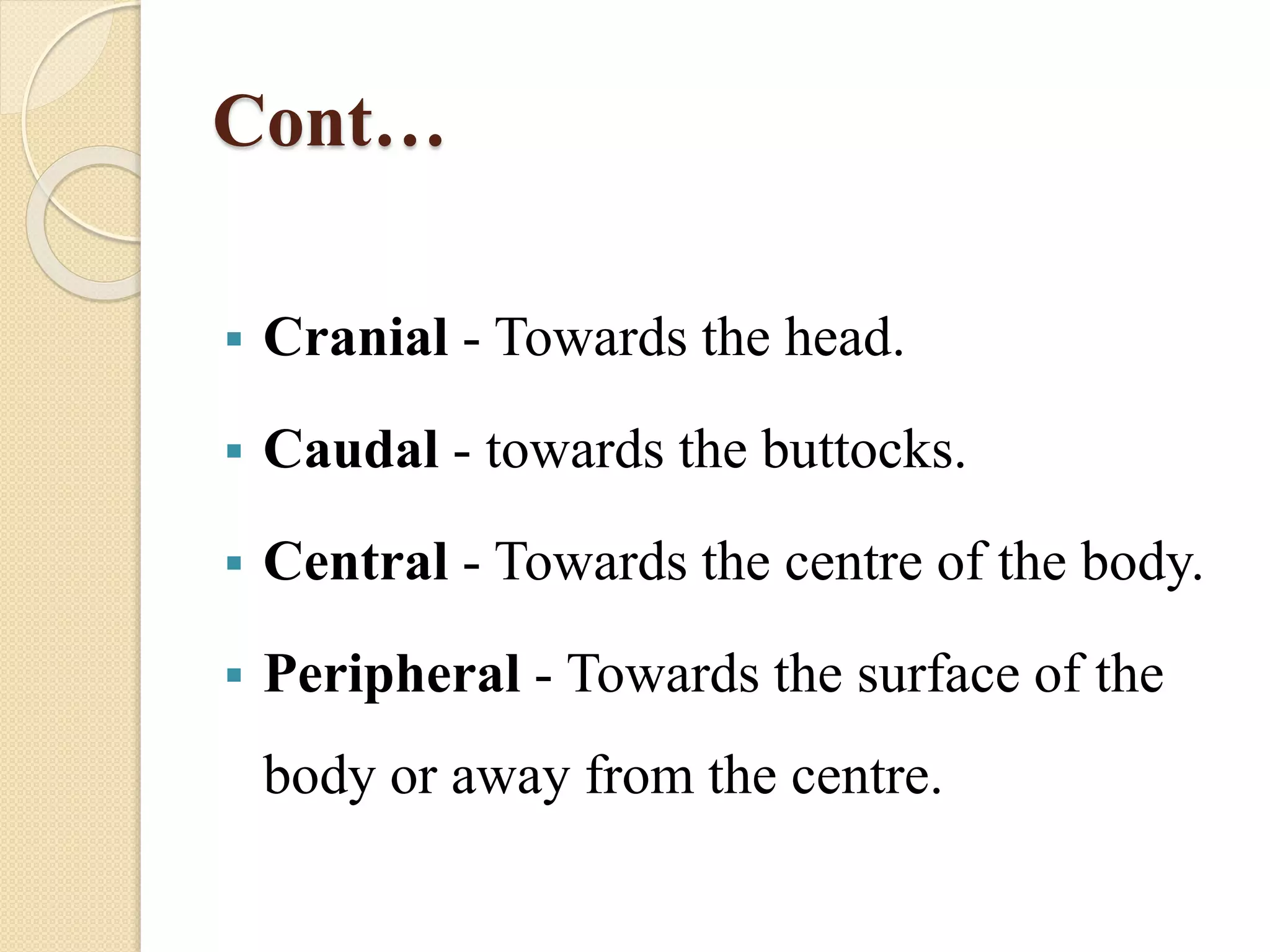 1. ANATOMICAL TERMINALOGY.pptx