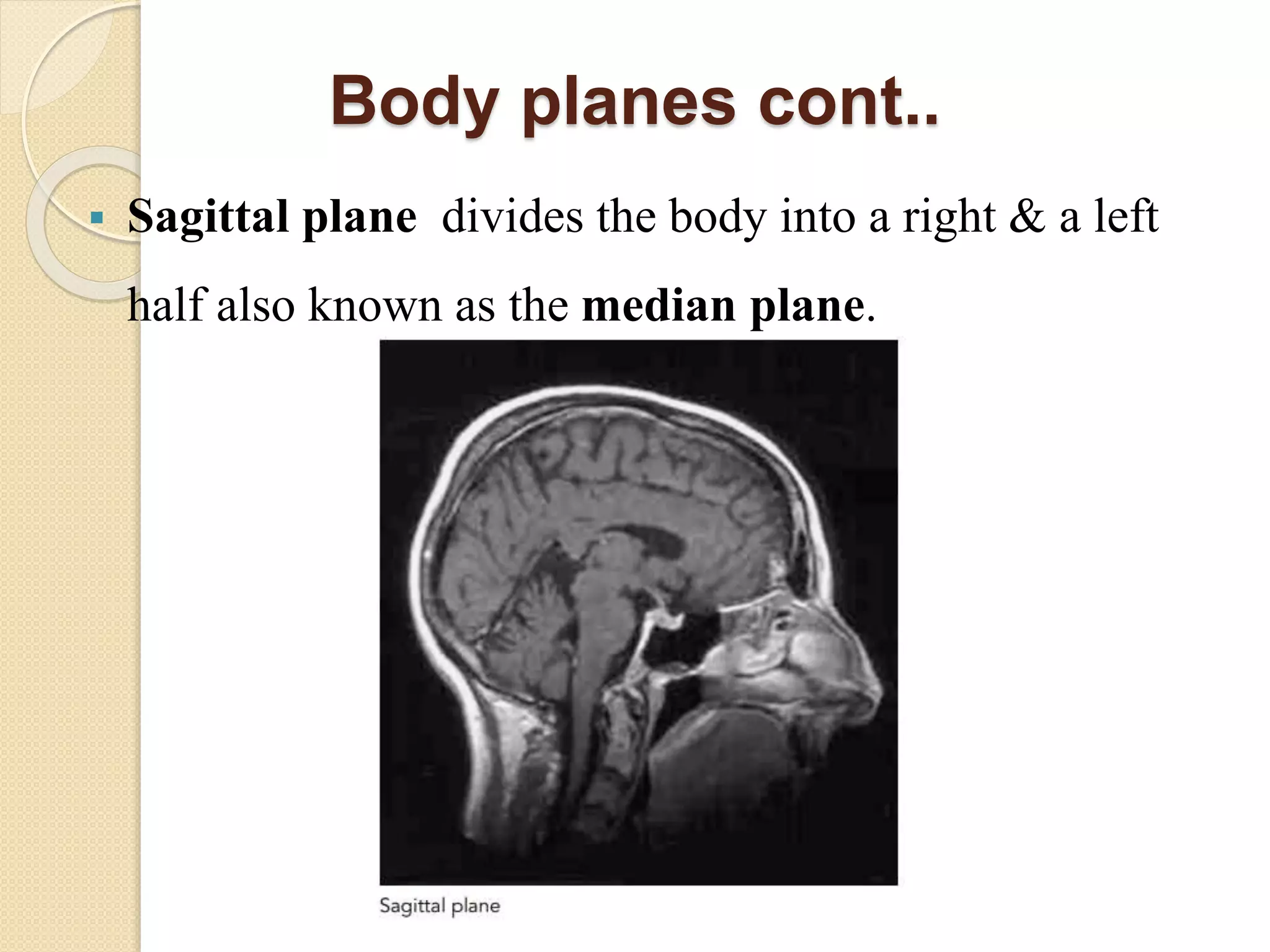 1. ANATOMICAL TERMINALOGY.pptx