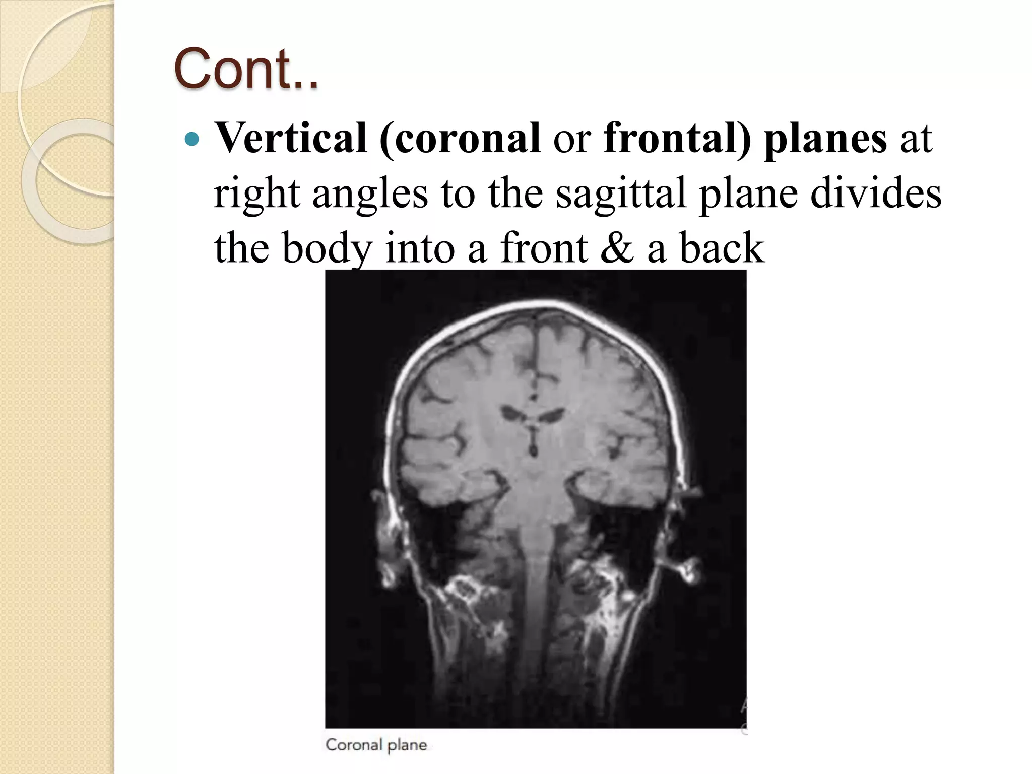 1. ANATOMICAL TERMINALOGY.pptx