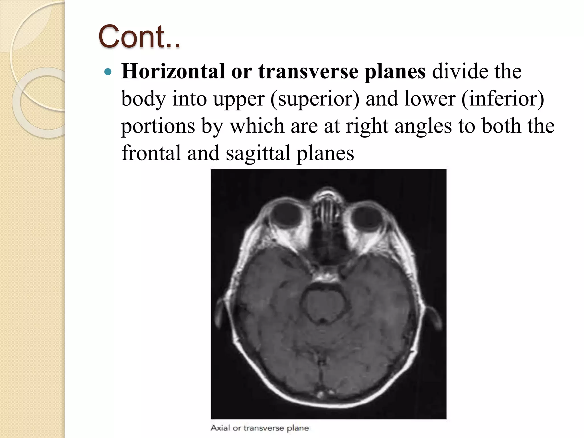 1. ANATOMICAL TERMINALOGY.pptx