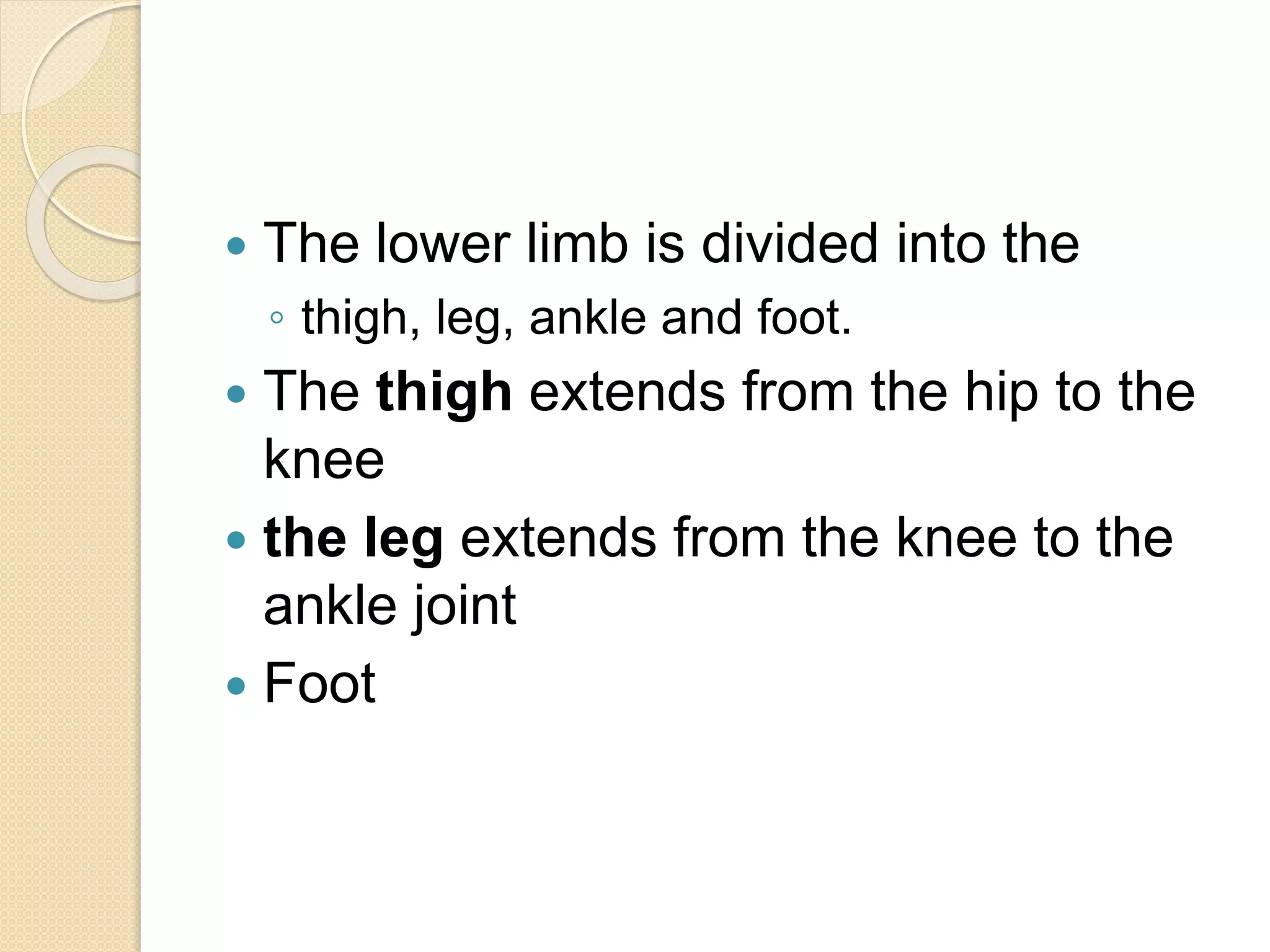 1. ANATOMICAL TERMINALOGY.pptx