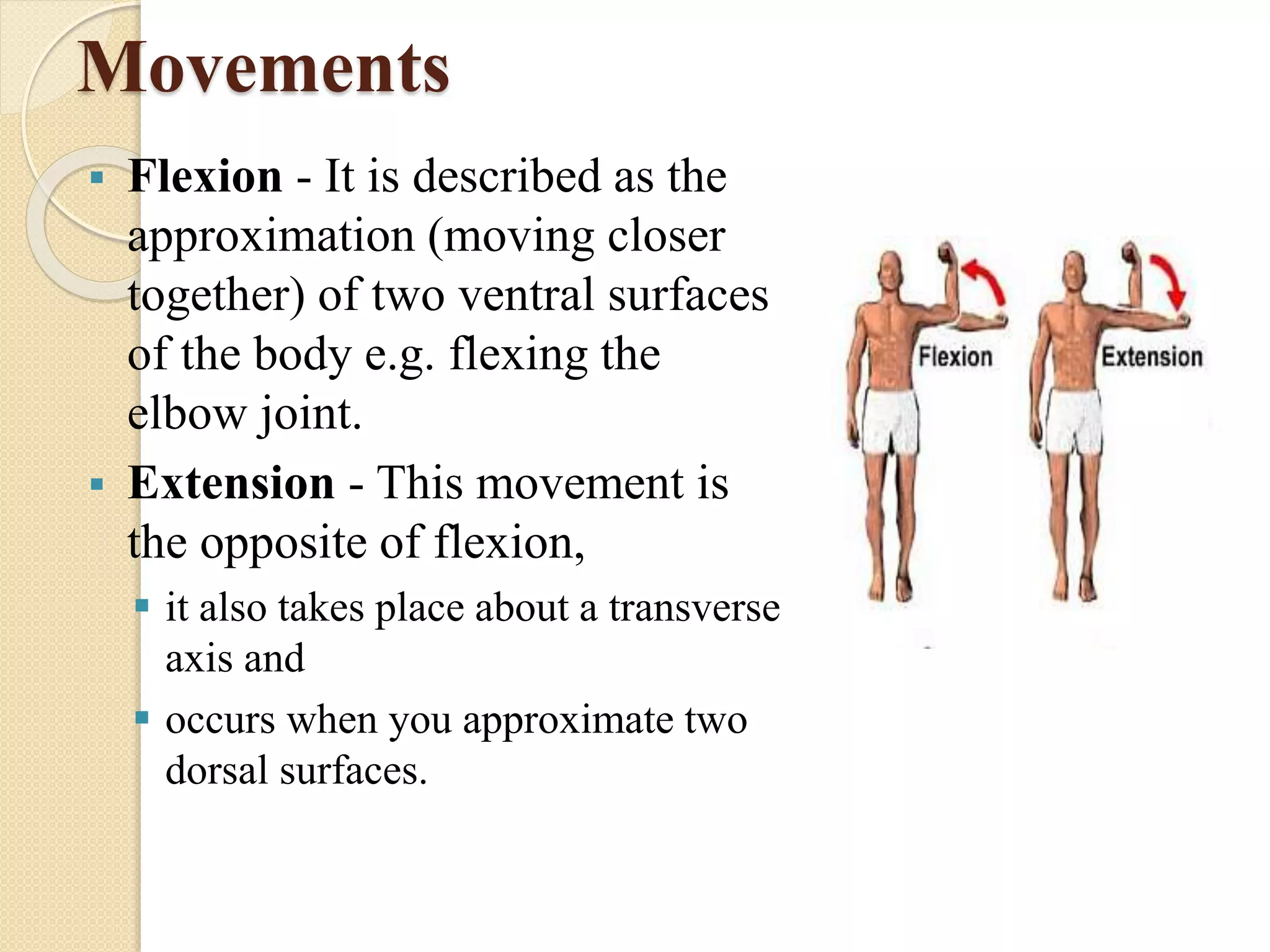 1. ANATOMICAL TERMINALOGY.pptx