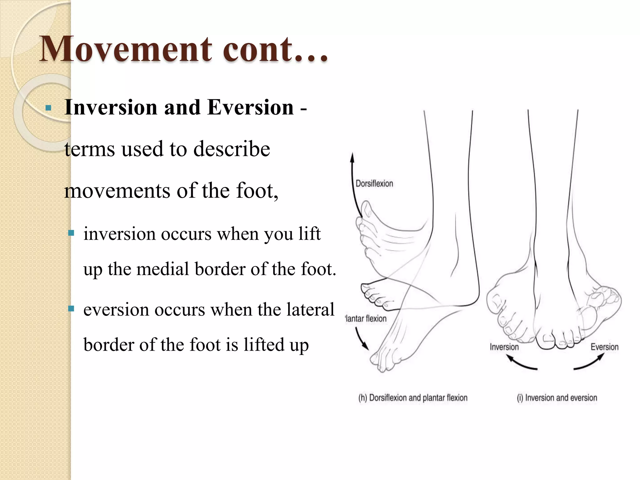 1. ANATOMICAL TERMINALOGY.pptx