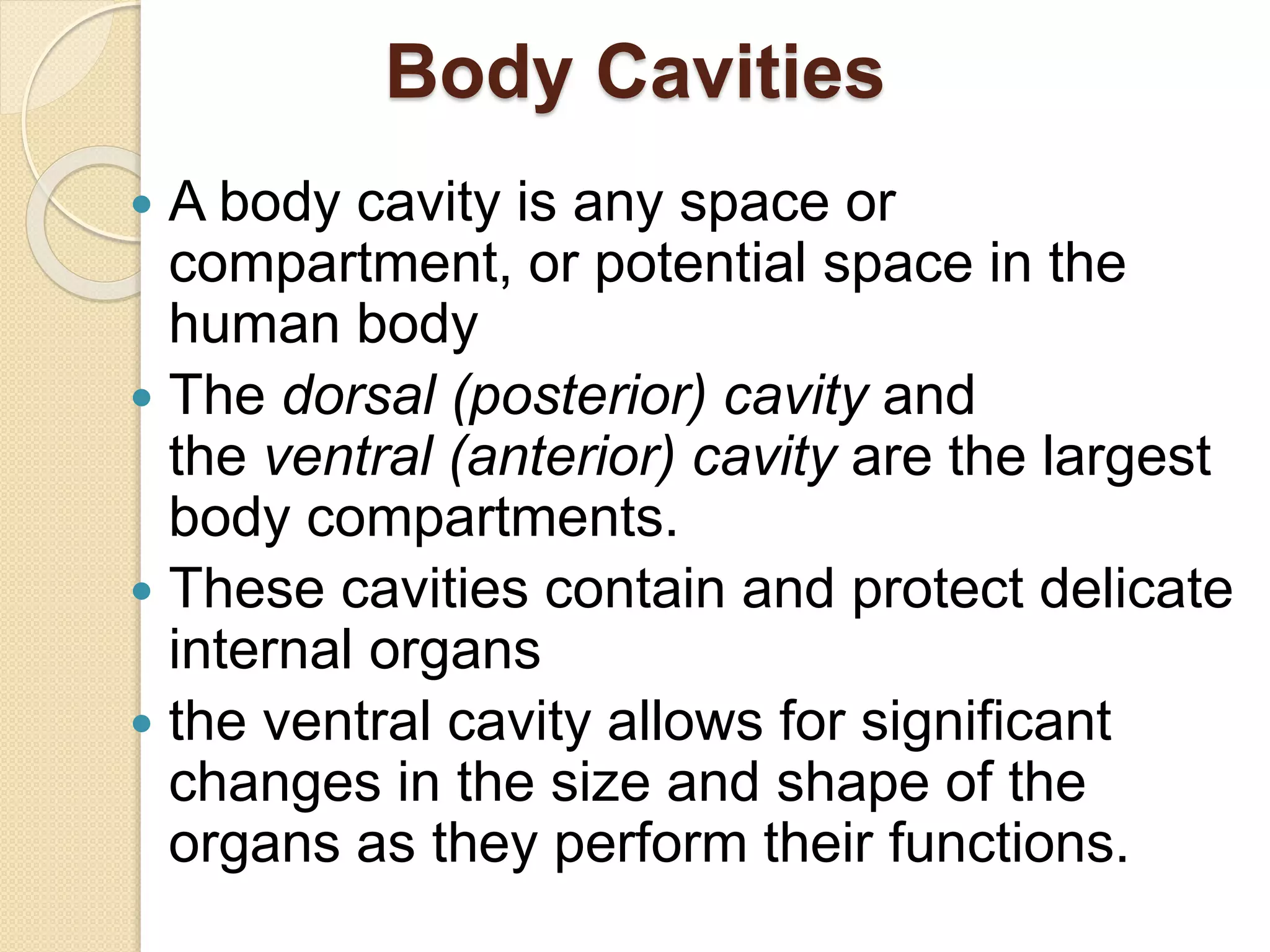 1. ANATOMICAL TERMINALOGY.pptx