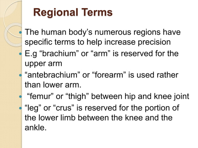 1. ANATOMICAL TERMINALOGY.pptx