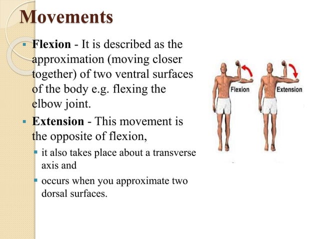 1. ANATOMICAL TERMINALOGY.pptx