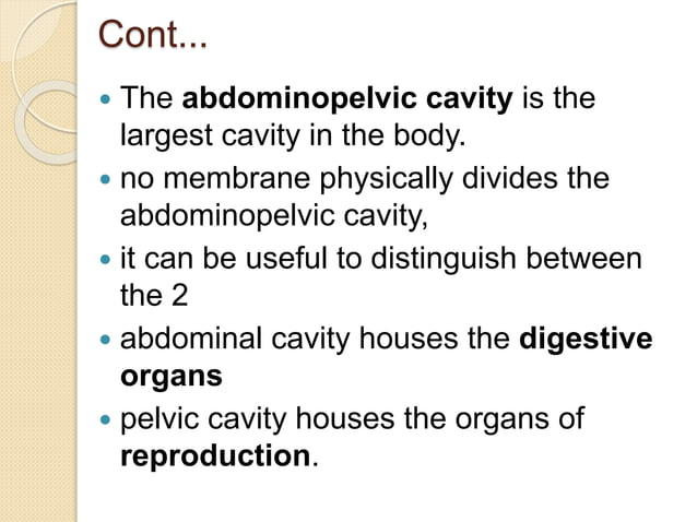 1. ANATOMICAL TERMINALOGY.pptx