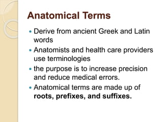 1. ANATOMICAL TERMINALOGY.pptx