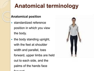 1. ANATOMICAL TERMINALOGY.pptx