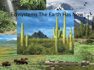 1. Ecosystems.pptx