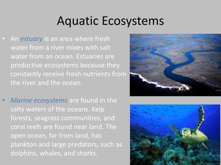 1. Ecosystems.pptx