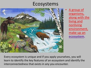 1. Ecosystems.pptx