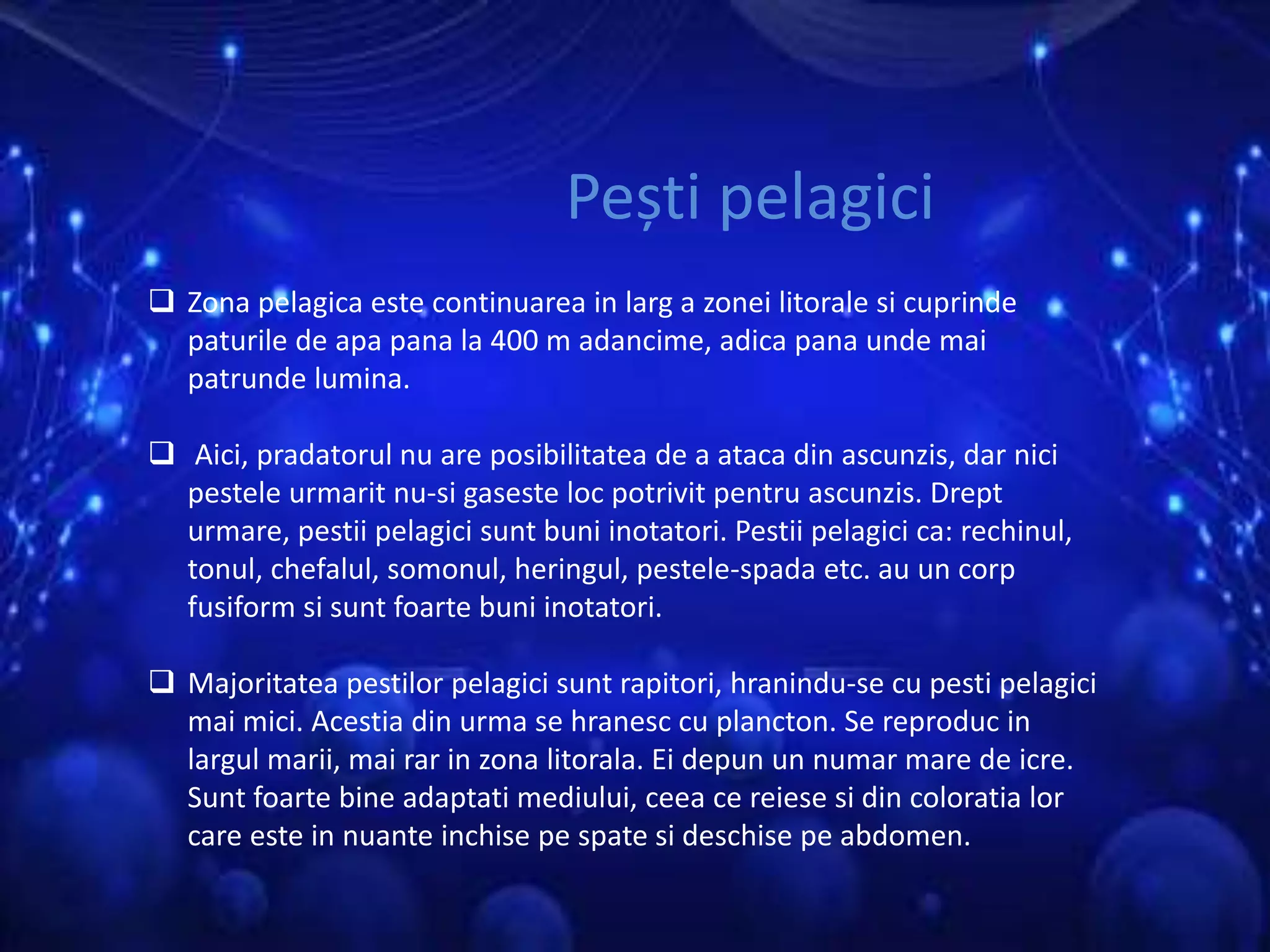 Презентация1.pptx