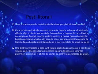 Презентация1.pptx