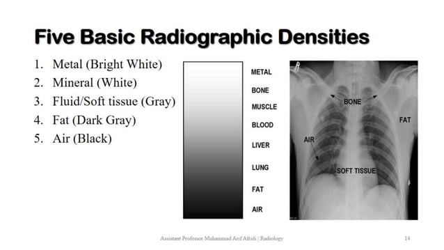 1. Introduction to Radiology.pdf