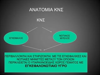 ΟΝΠ .ppt