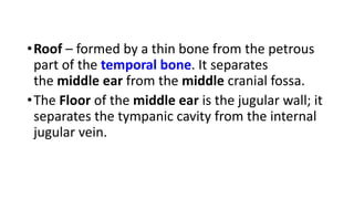 ANATOMY OF EAR.pptx