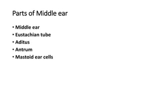 ANATOMY OF EAR.pptx