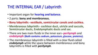 ANATOMY OF EAR.pptx