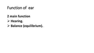ANATOMY OF EAR.pptx