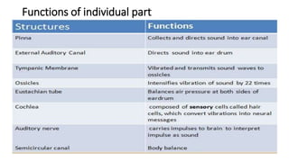 ANATOMY OF EAR.pptx