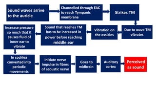 ANATOMY OF EAR.pptx